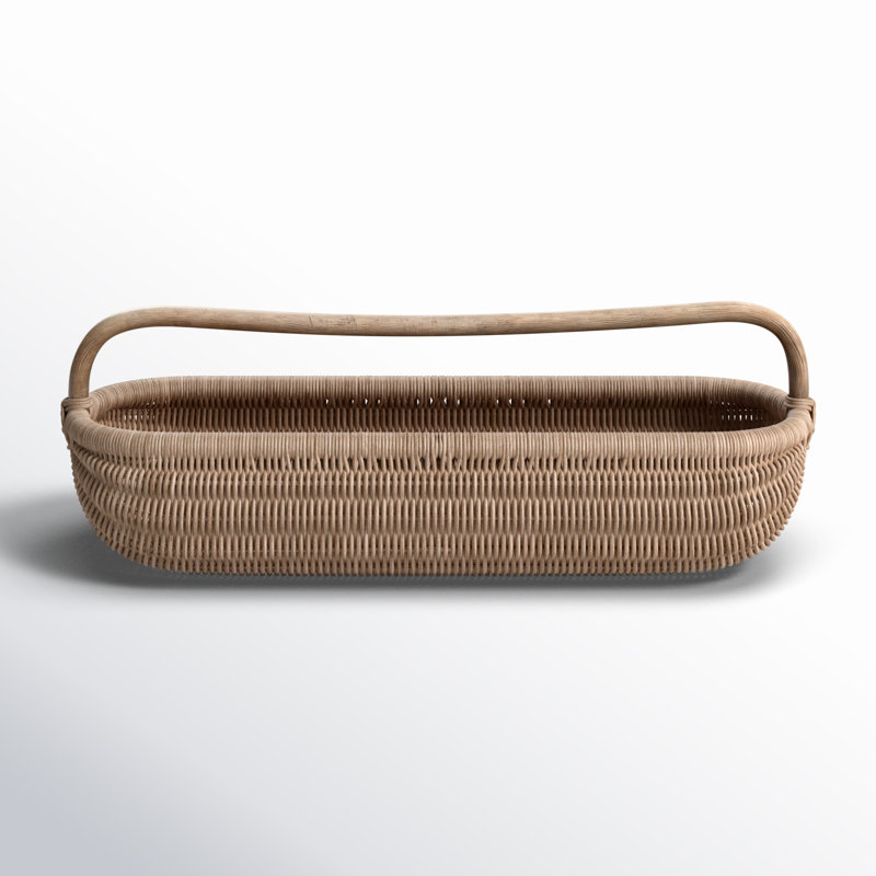 Birch Lane™ Amorina Hand-Woven Rattan Basket with Handle & Reviews ...