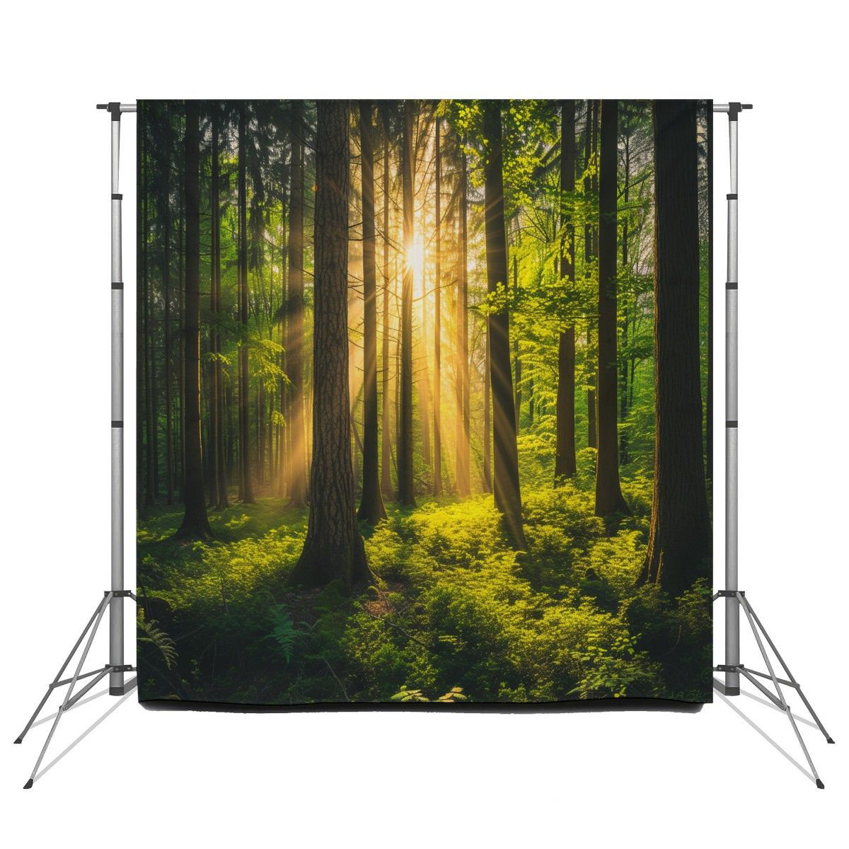 VisionDecor Forest Backdrop Nature Large Sunlight Through Trees Photo ...