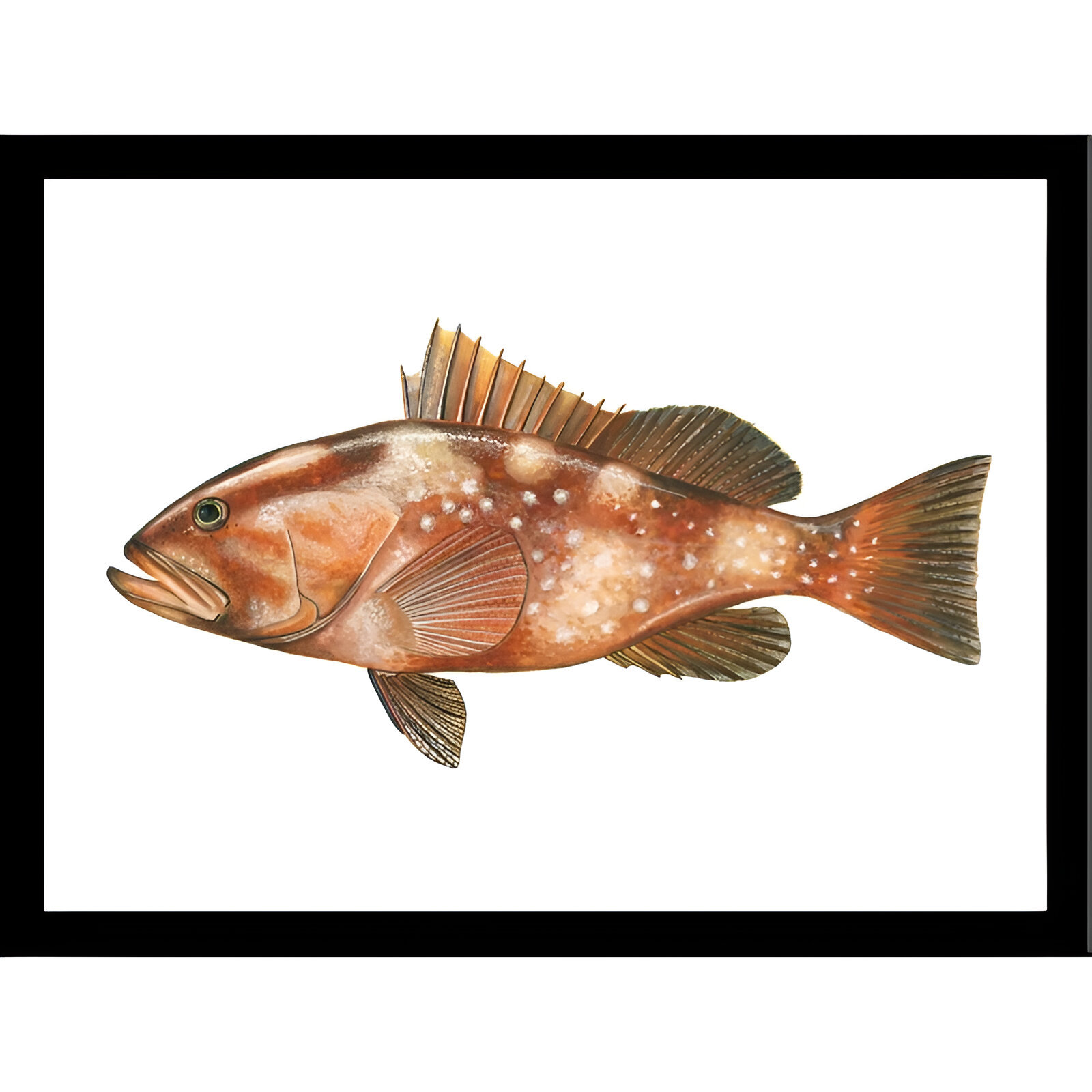 Breakwater Bay 'Red Grouper Fish' Framed Acrylic Painting Print ...