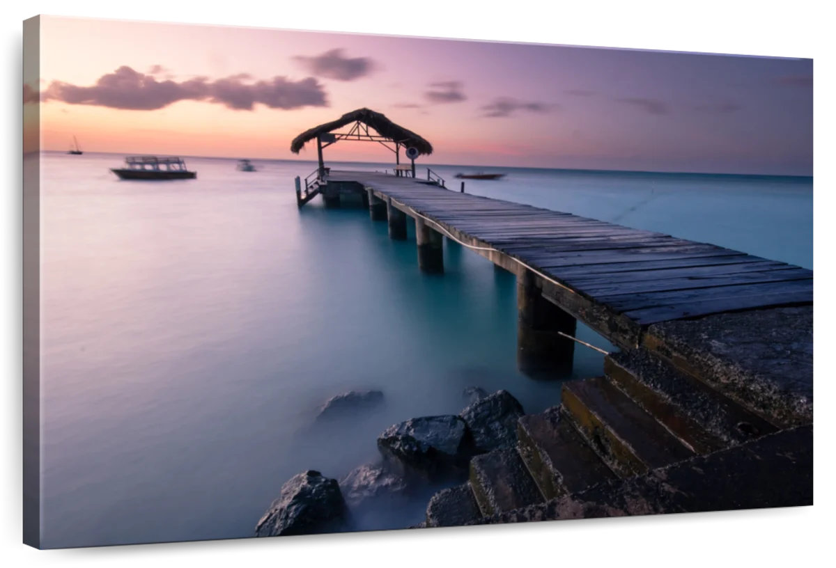 Elephant Stock Magical Boardwalk Sunrise | Wayfair