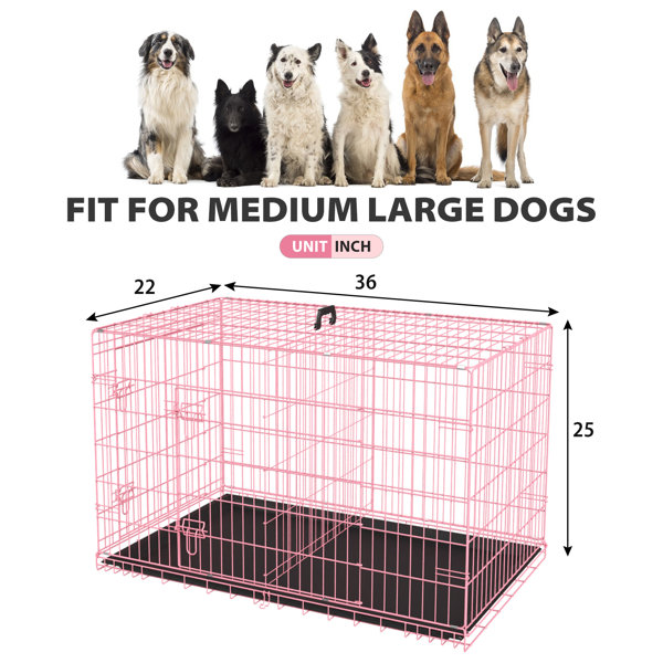 Archie & Oscar™ Jorden Dog Crates For Large Dogs Folding Metal Wire ...