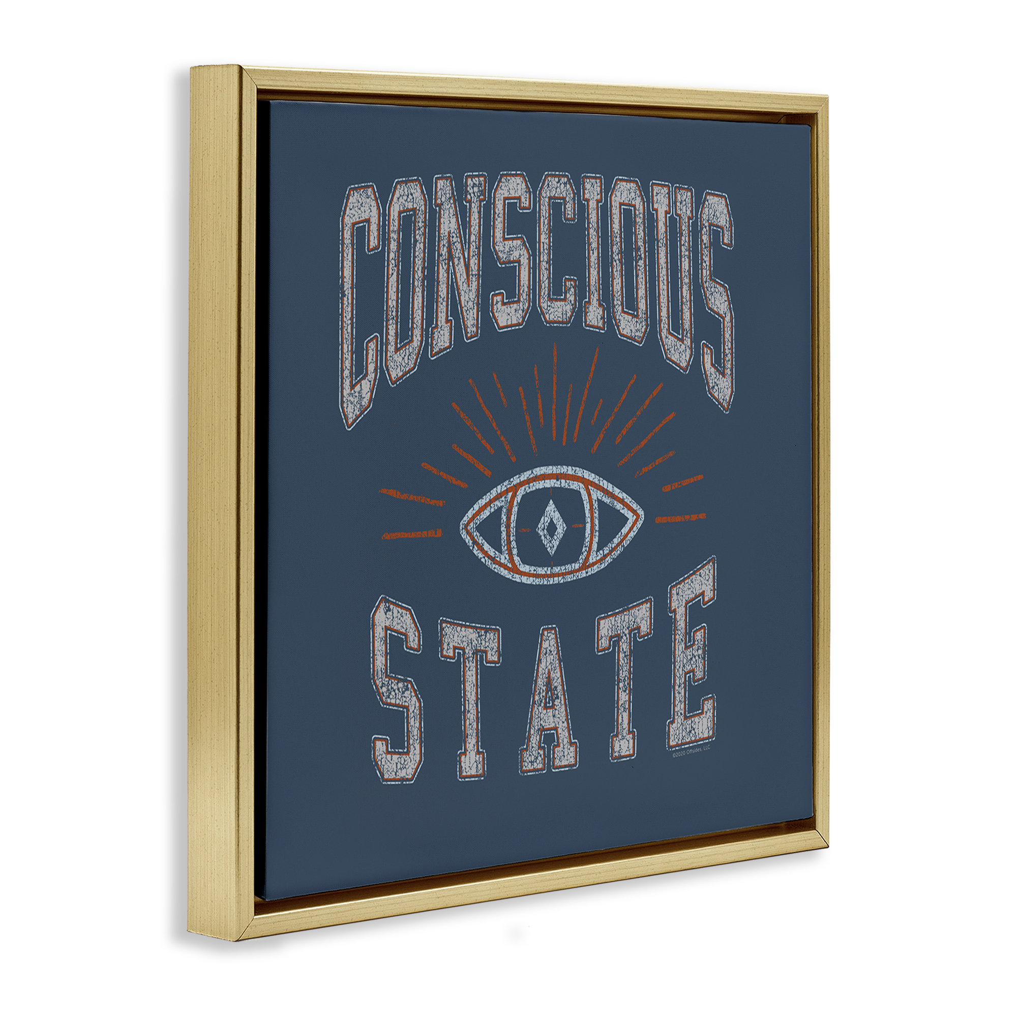Trinx Conscious State Varsity Style Floater Canvas Wall Art by Higher ...