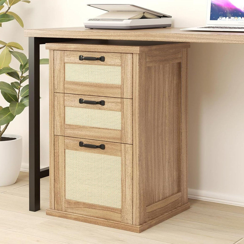 Bay Isle Home™ Small Vertical File Cabinet with 3 Drawers, Moderate ...