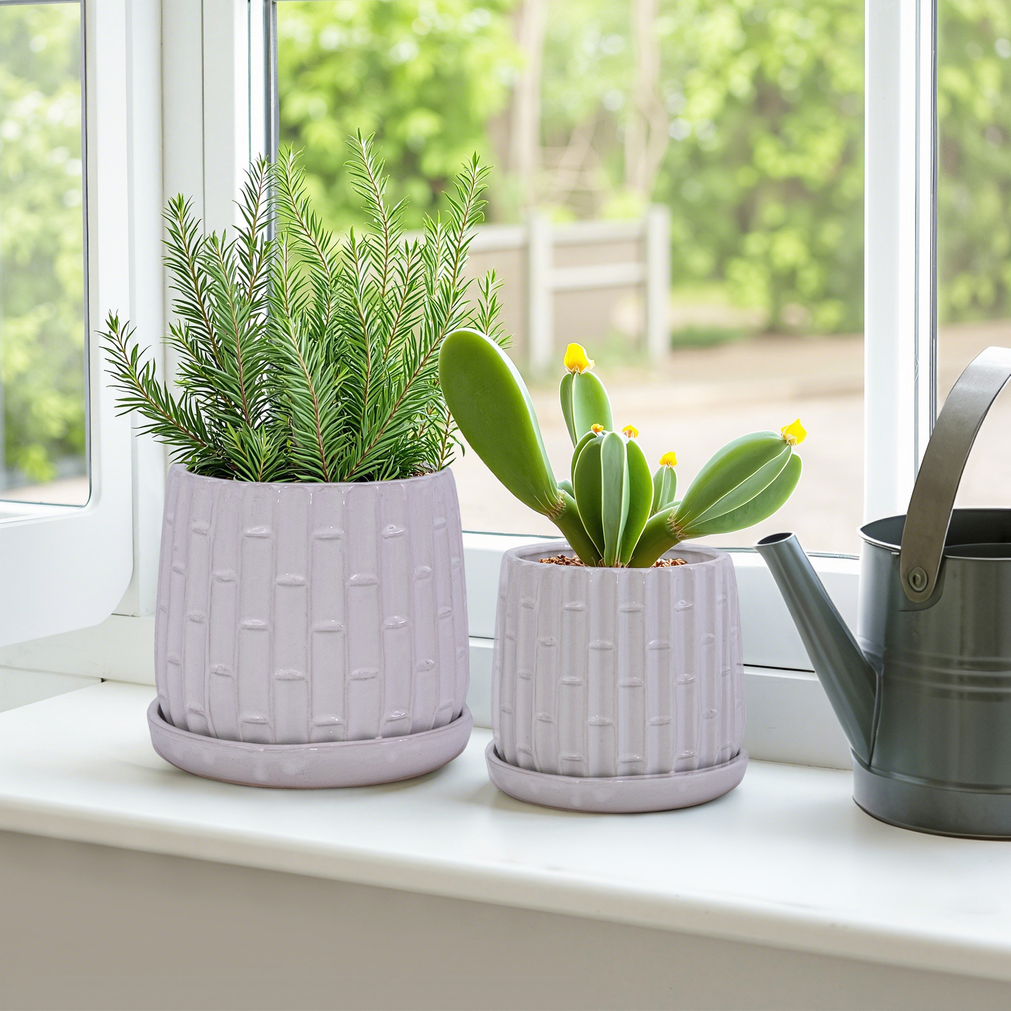 Winston Porter Indoor/Outdoor Modern Ceramic Pot Planter with Drainage ...