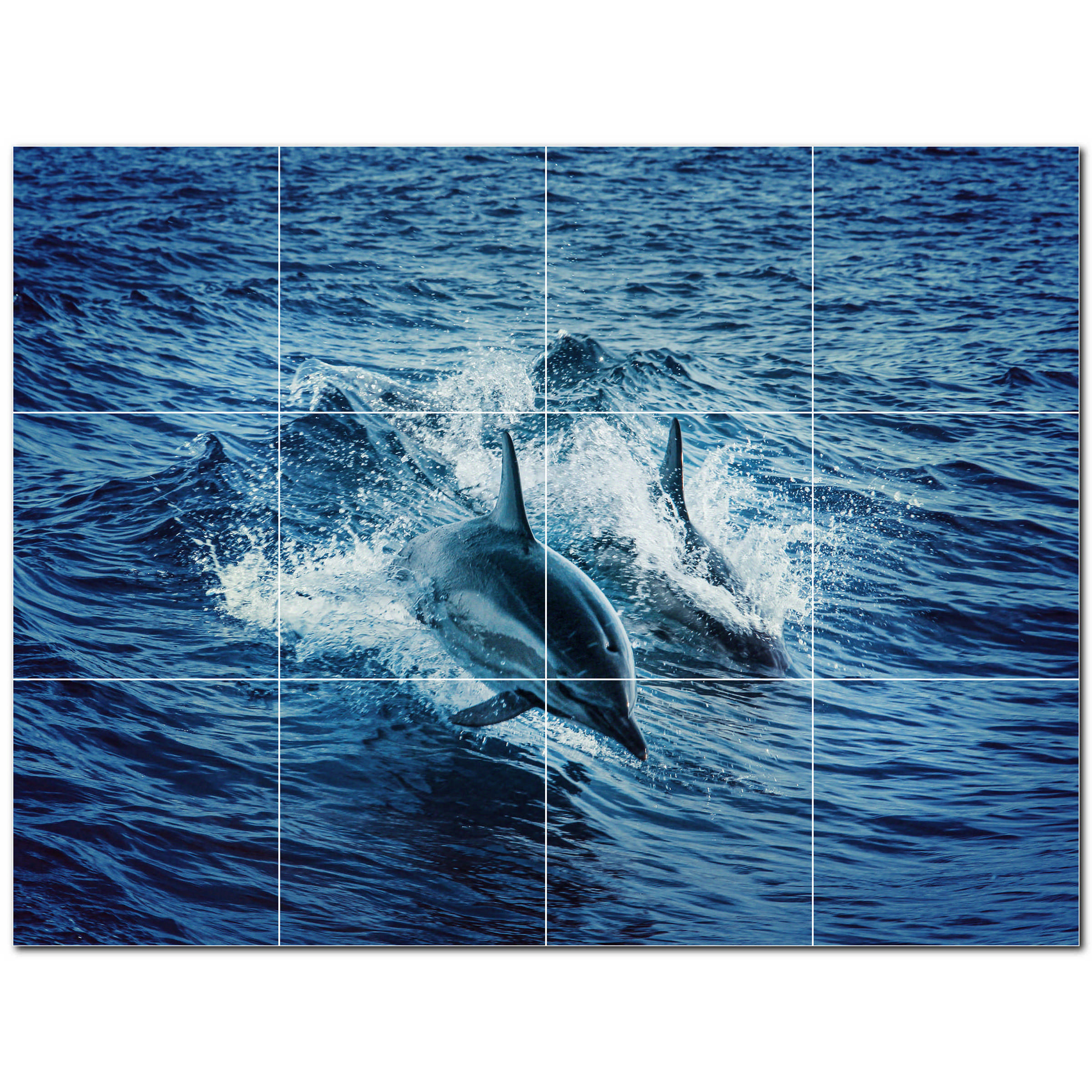 Picture-Tiles.com 32" x 24" Ceramic Dolphin Photo Decorative Mural Tile ...