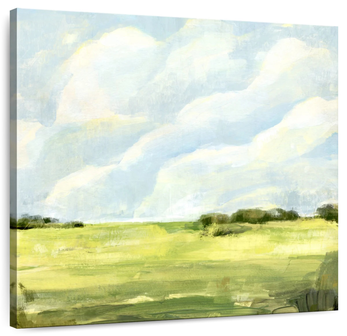 Millwood Pines Alvord Open Fields I | Wayfair