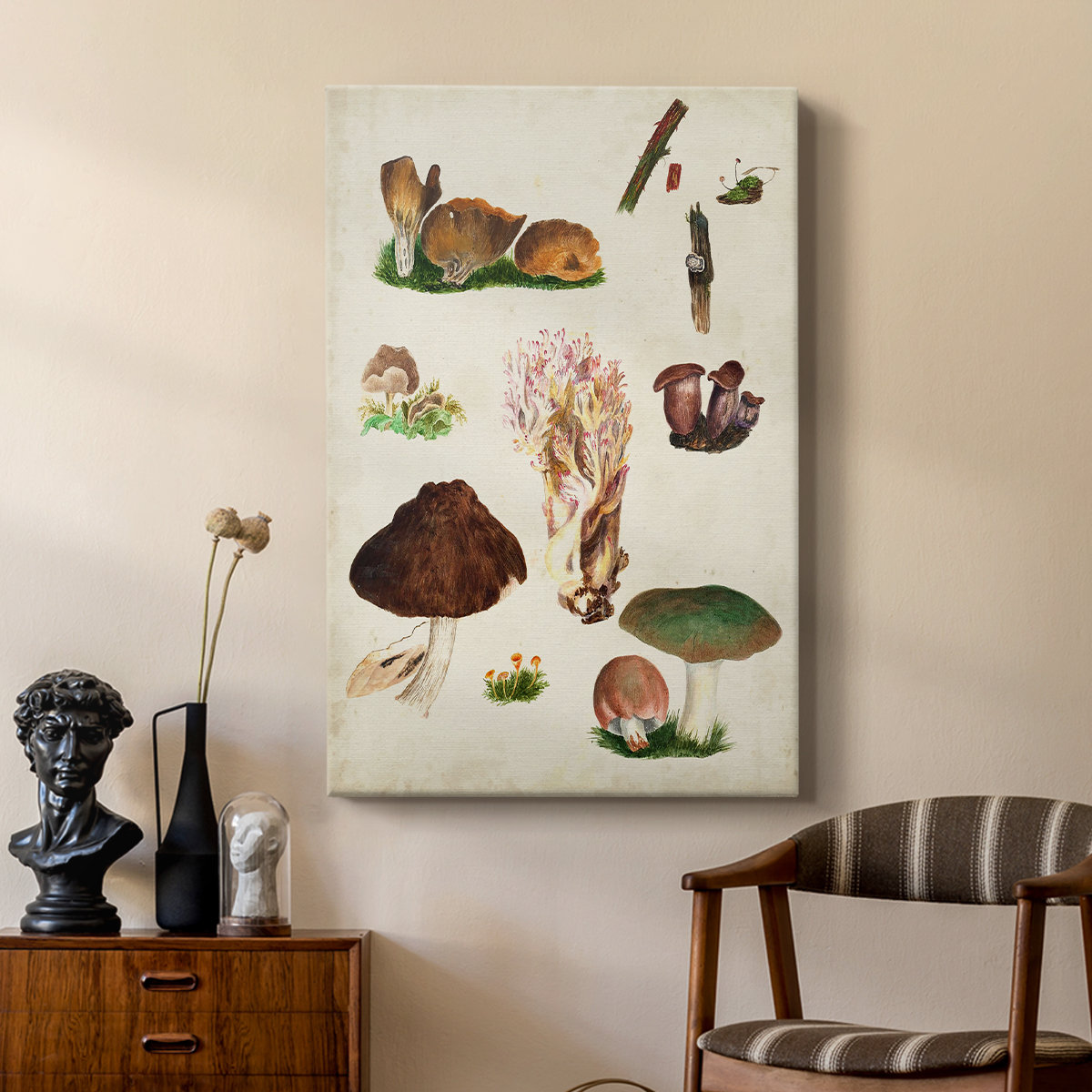 Alcott Hill Mushroom Species IX -Custom Wrapped Gallery Cavas - Wayfair ...
