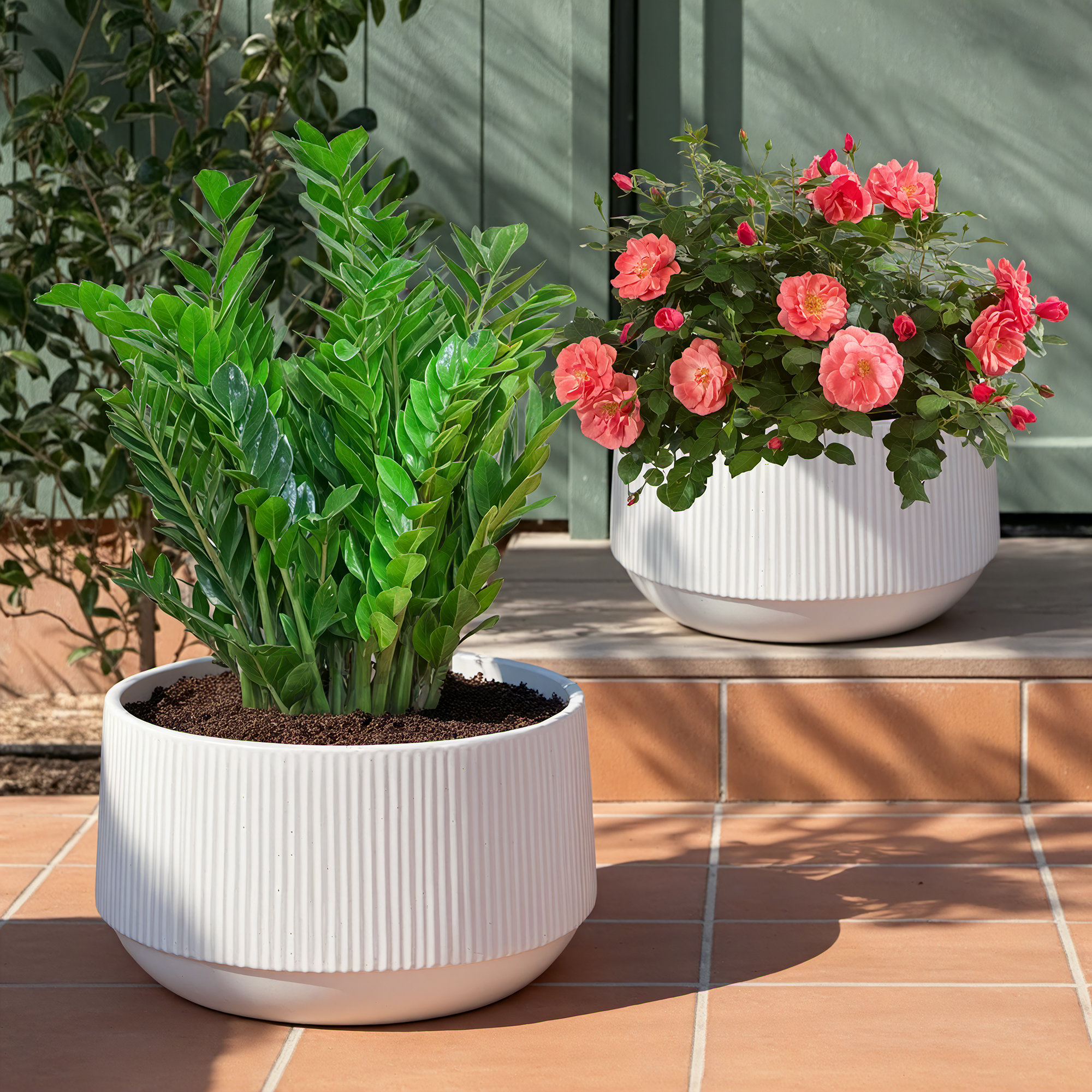Latitude Run® Indoor/Outdoor Modern Ceramic Pot Planter with Drainage ...