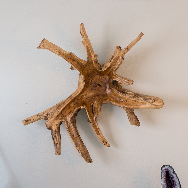 Arlmont & Co. Teak Root Wall Decor - Spider | Wayfair