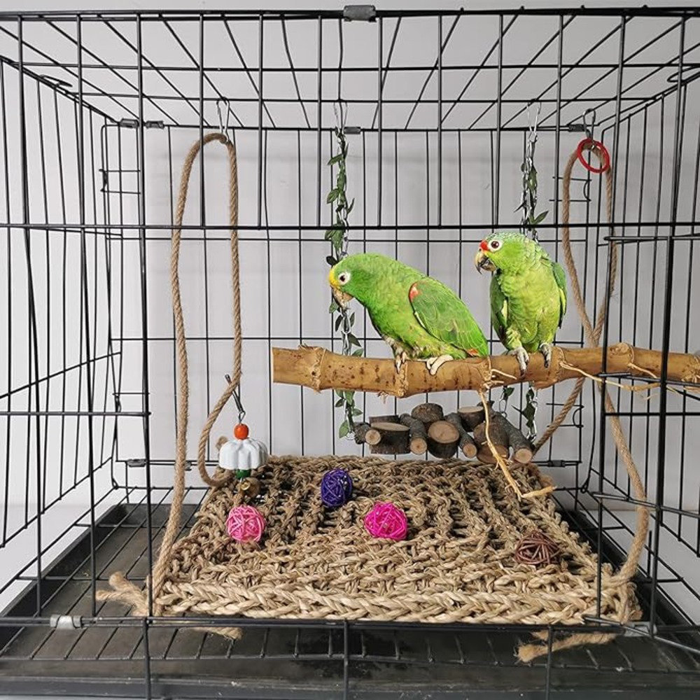 Cozy Oasis 1'' Wood Bird Perch for Inside Cage | Wayfair