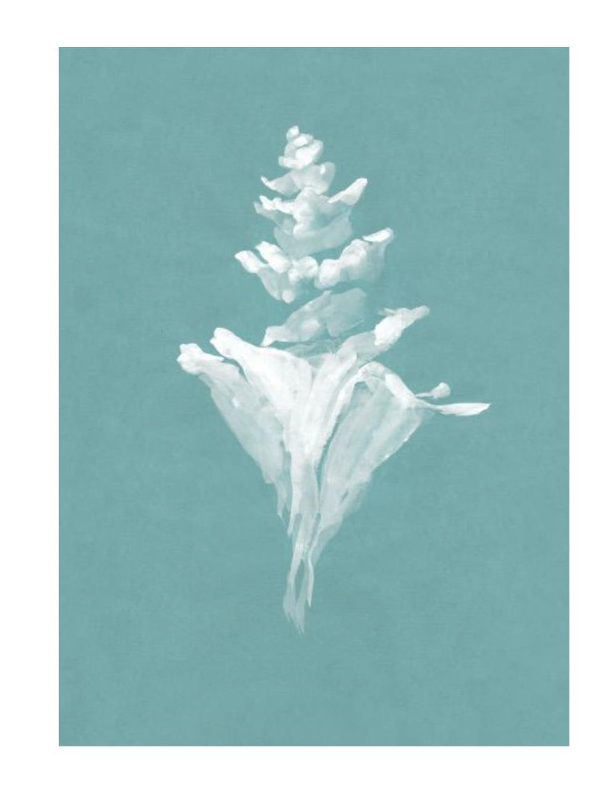 Chelsea Art Studio Fern Cassidy " Pearl Shell III " by Fern Cassidy ...