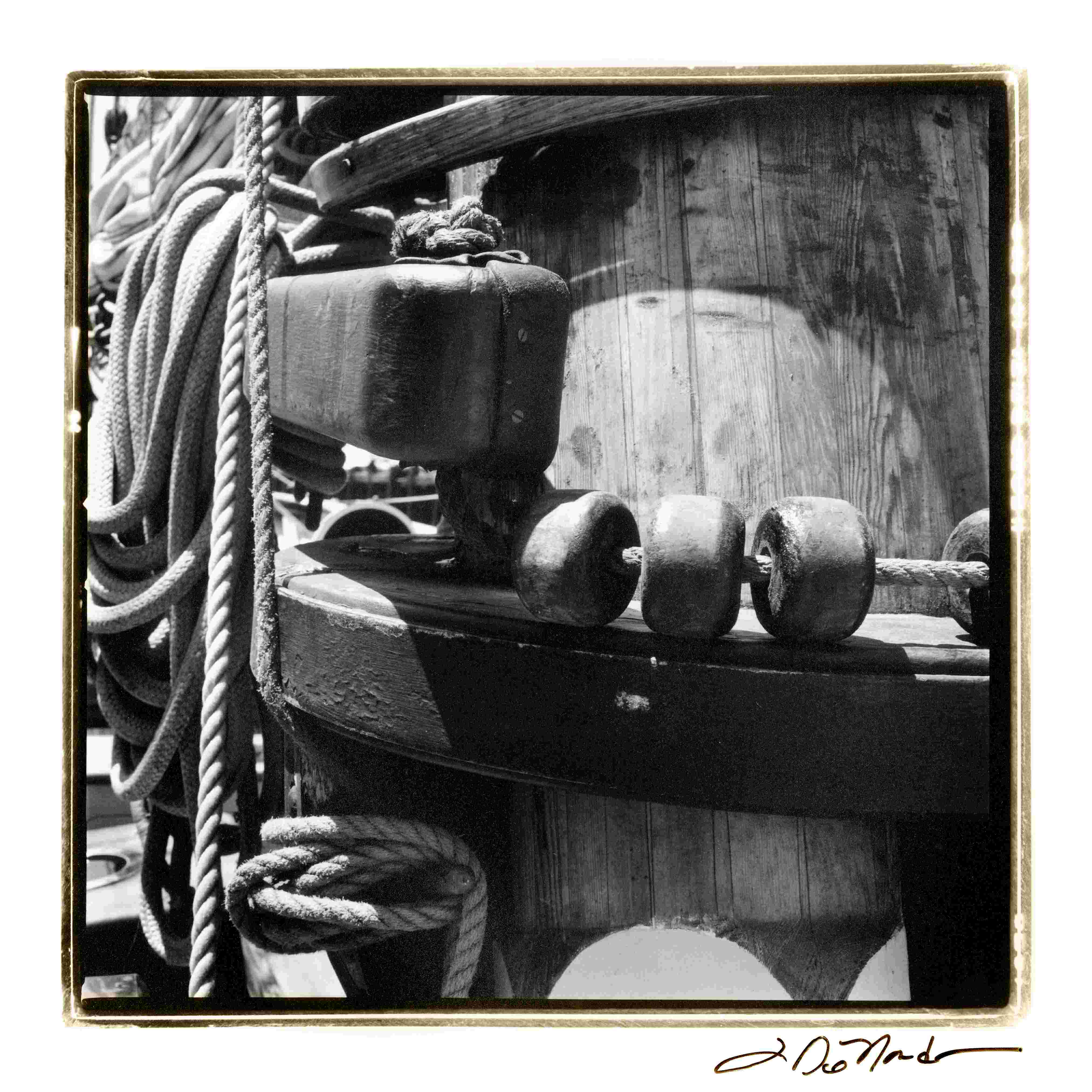 Longshore Tides Ship Shape III - Wayfair Canada