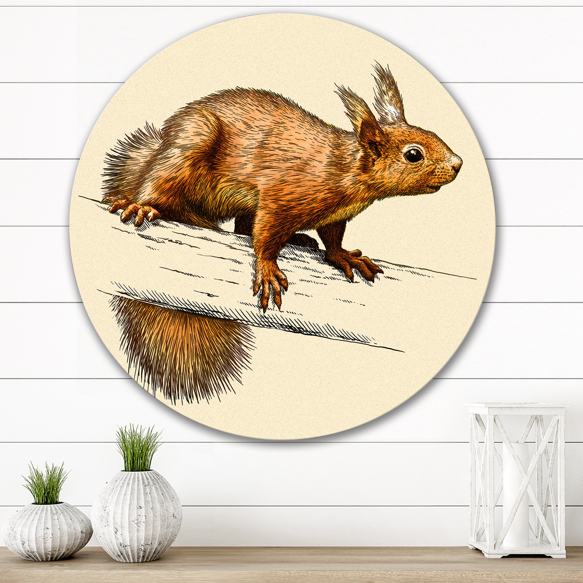 Loon Peak Vintage Squirrel On Branch - Traditional Metal Circle Wall ...