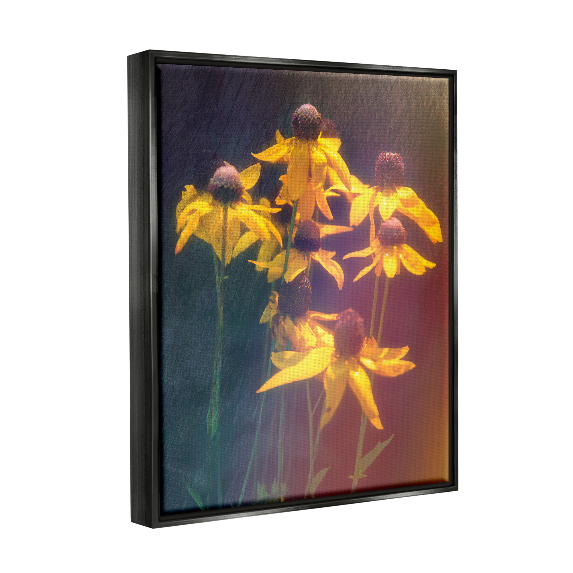 Winston Porter Black-Eyed Susan Photography Framed On Canvas by Daniel ...