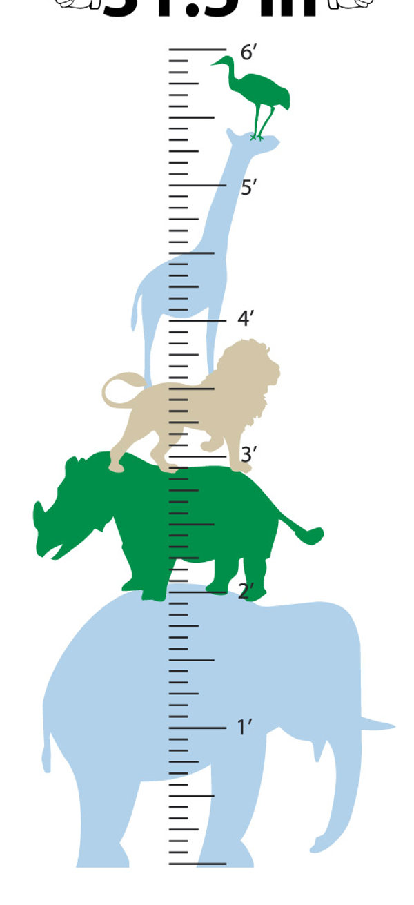 The Decal Guru Animals Non-Wall Damaging Wall Decal | Wayfair