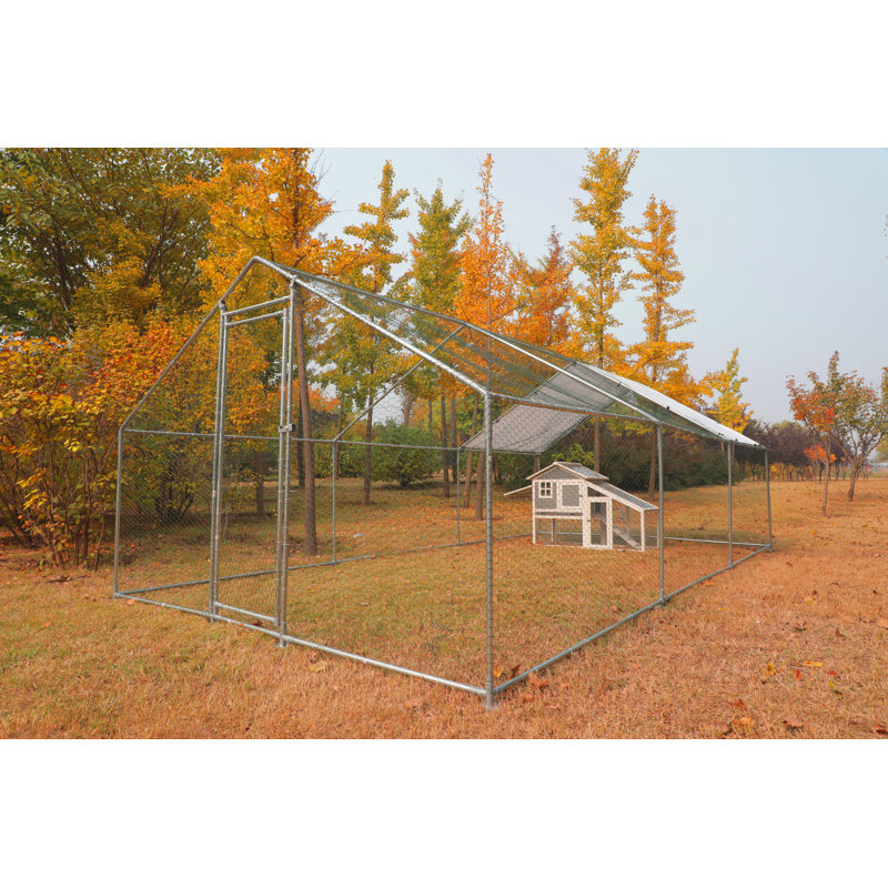 Tucker Murphy Pet™ Crellen Metal Chicken Run Coop, Walk-in Poultry Cage ...