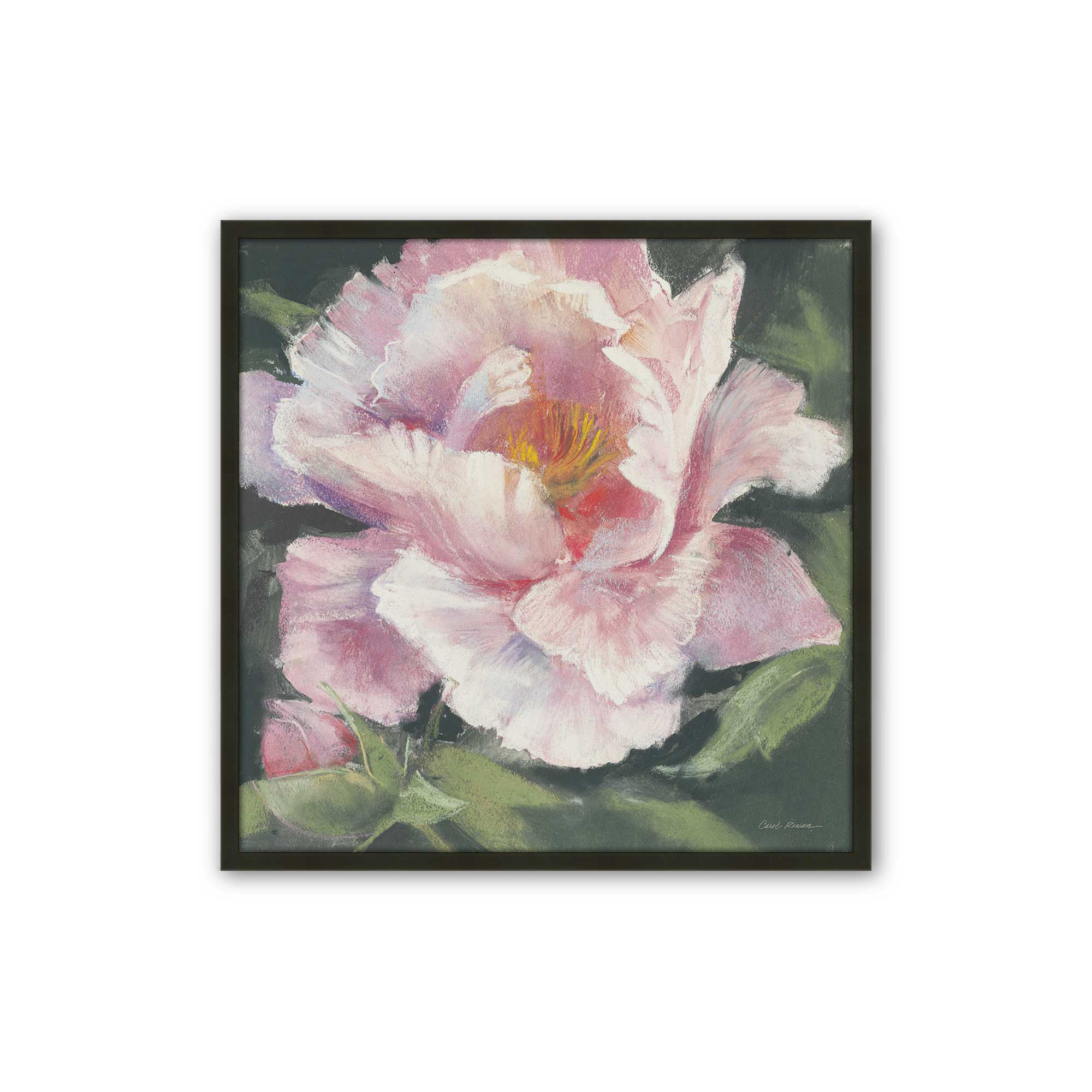 Winston Porter Peony II By Carol Rowan Art Print | Wayfair