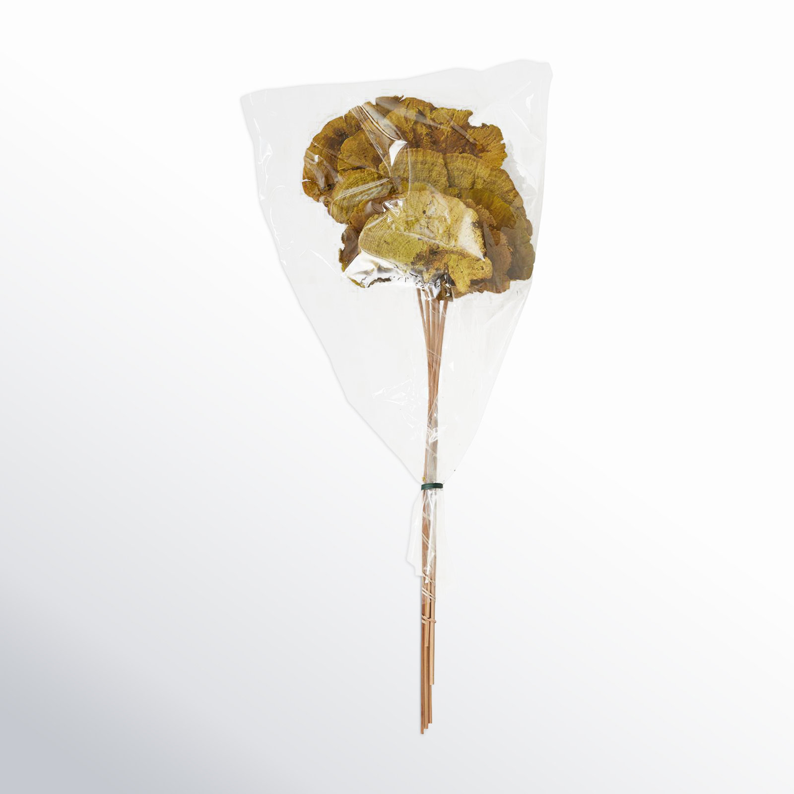 Primrue Sponge Mushroom Stem | Joss & Main