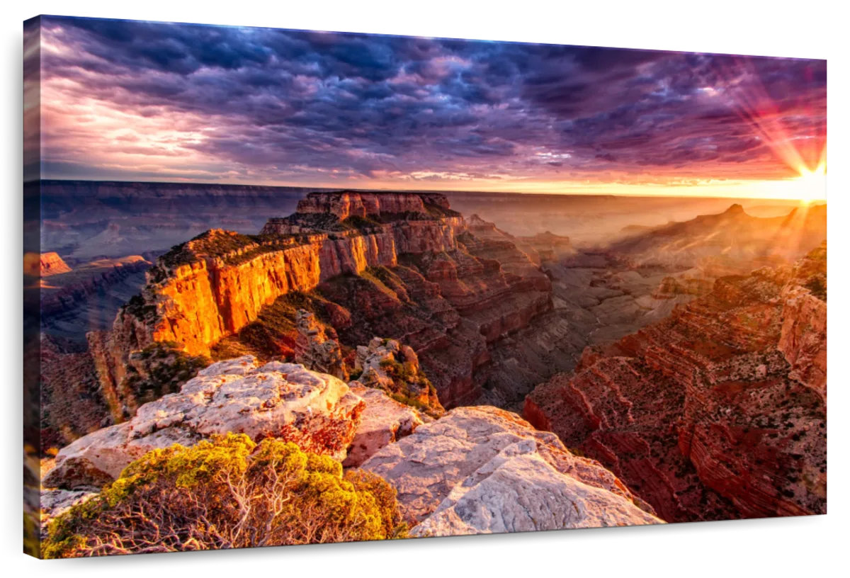 Millwood Pines Alvord North Rim Grand Canyon Daybreak | Wayfair