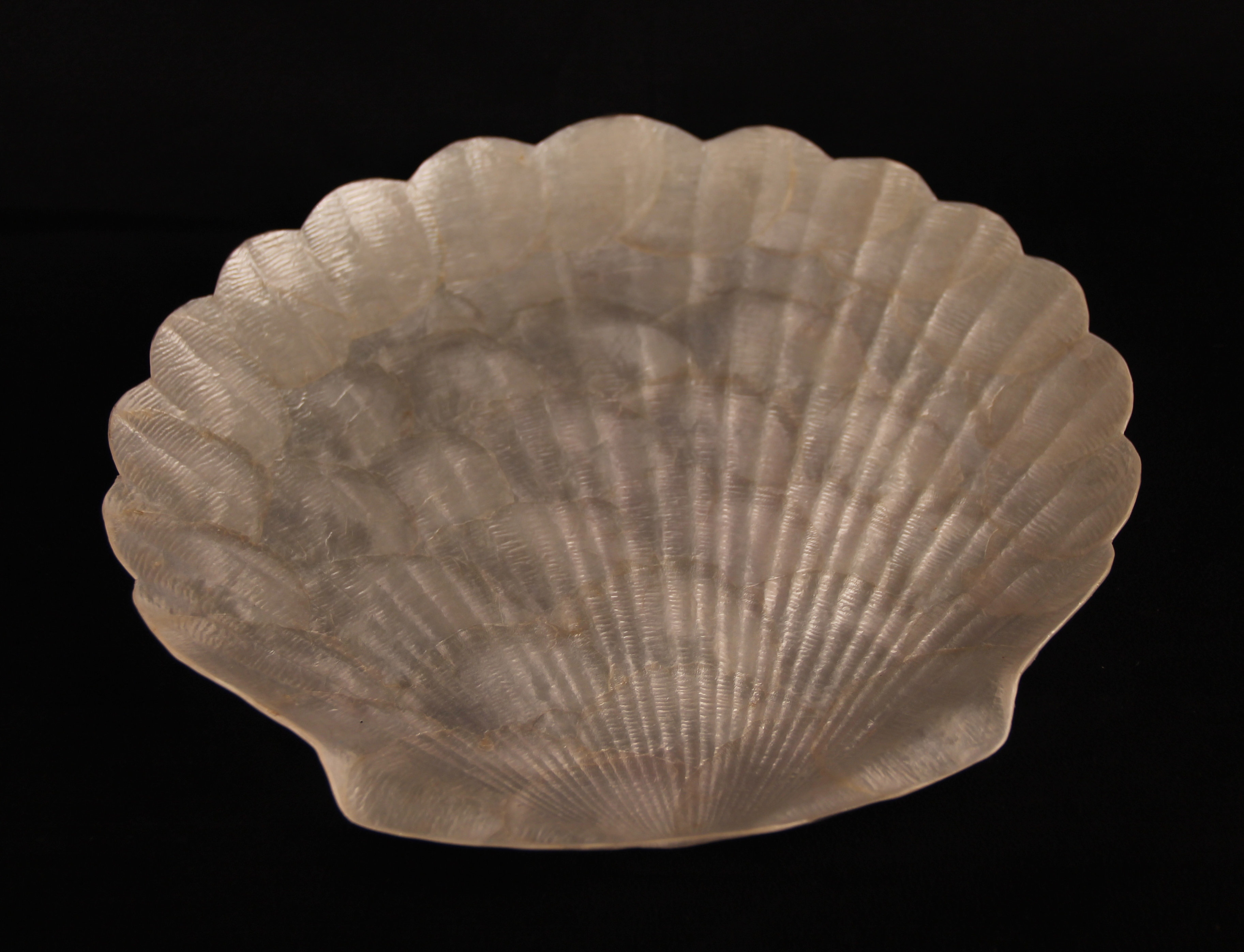 Highland Dunes Hudson Oaks Clam Shaped Capiz Shell Serving Tray | Wayfair
