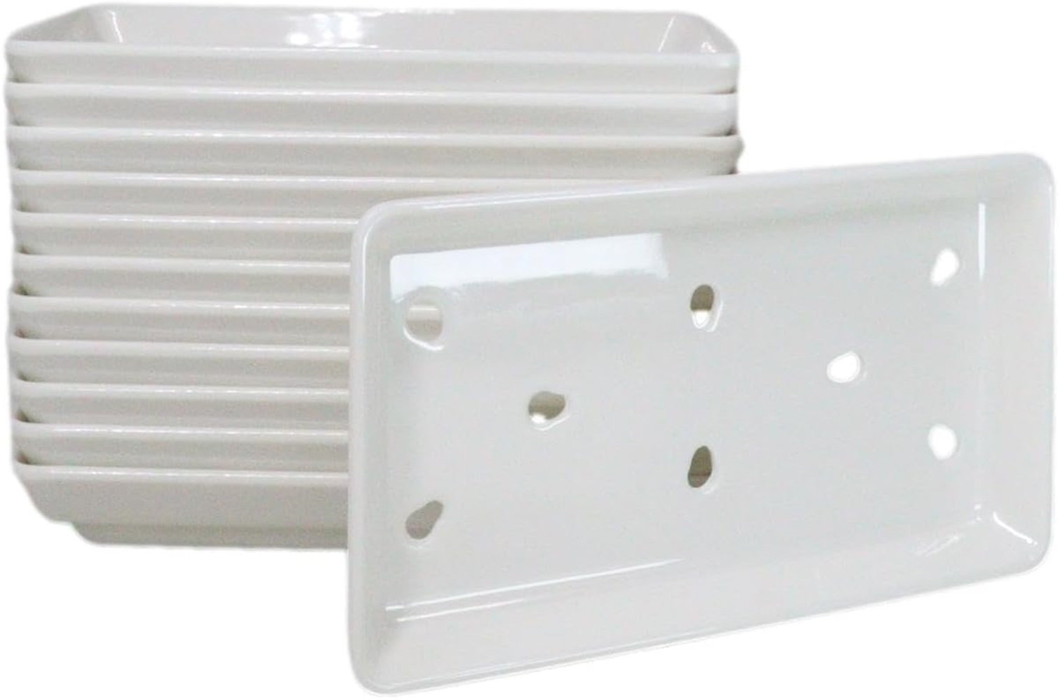 Latitude Run® Pack Of 12 White Neta Zara Sushi Case Sashimi Plates With ...