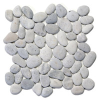 SB TILE AND STONE Natural Stone Pebbles Mosaic Wall & Floor Tile | Perigold