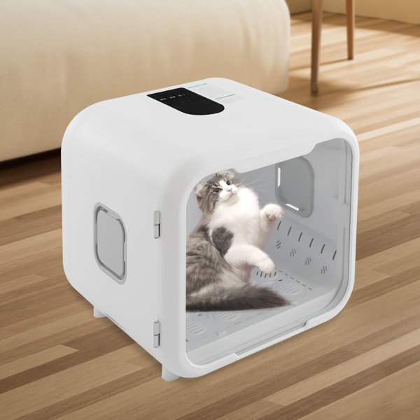 OUKANING 800W Pet Force Dryer Box Adjustable Wind and Temperature | Wayfair