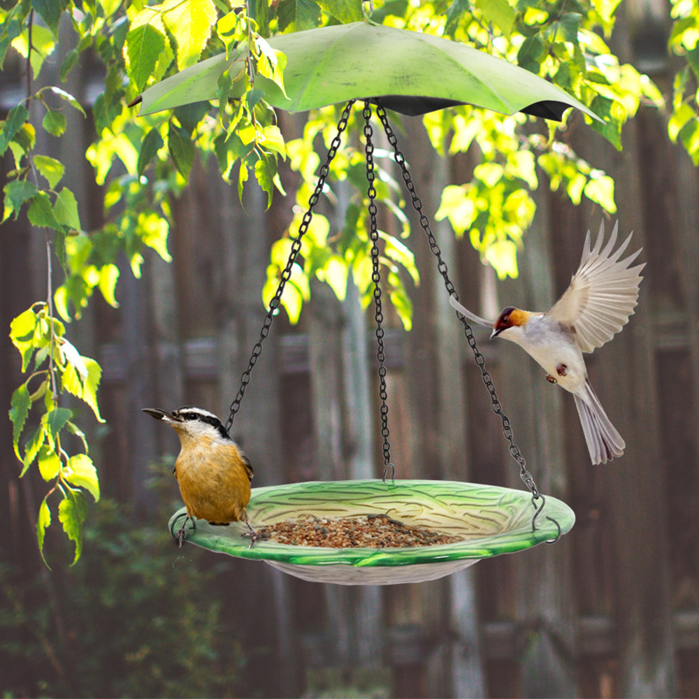 Arlmont & Co. Nali Tray Bird Feeder - Wayfair Canada