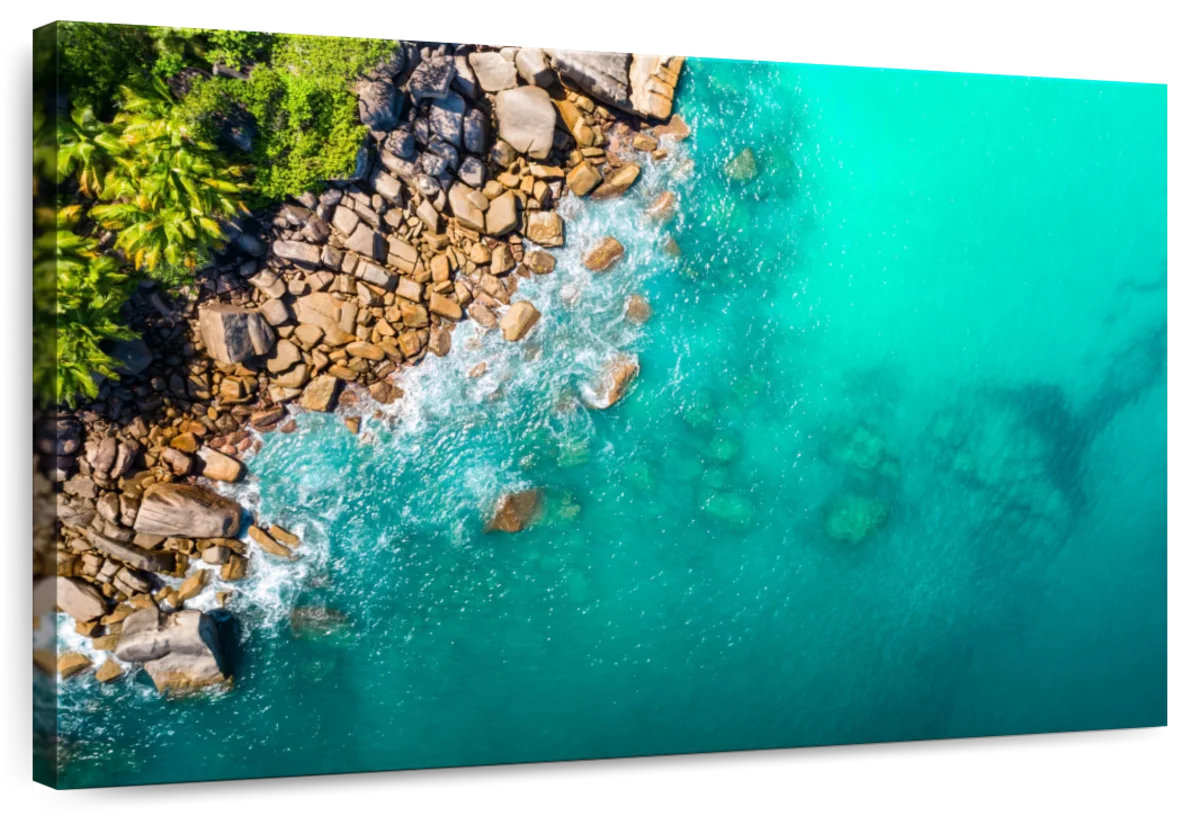 Elephant Stock Seychelles Shark Beach | Wayfair