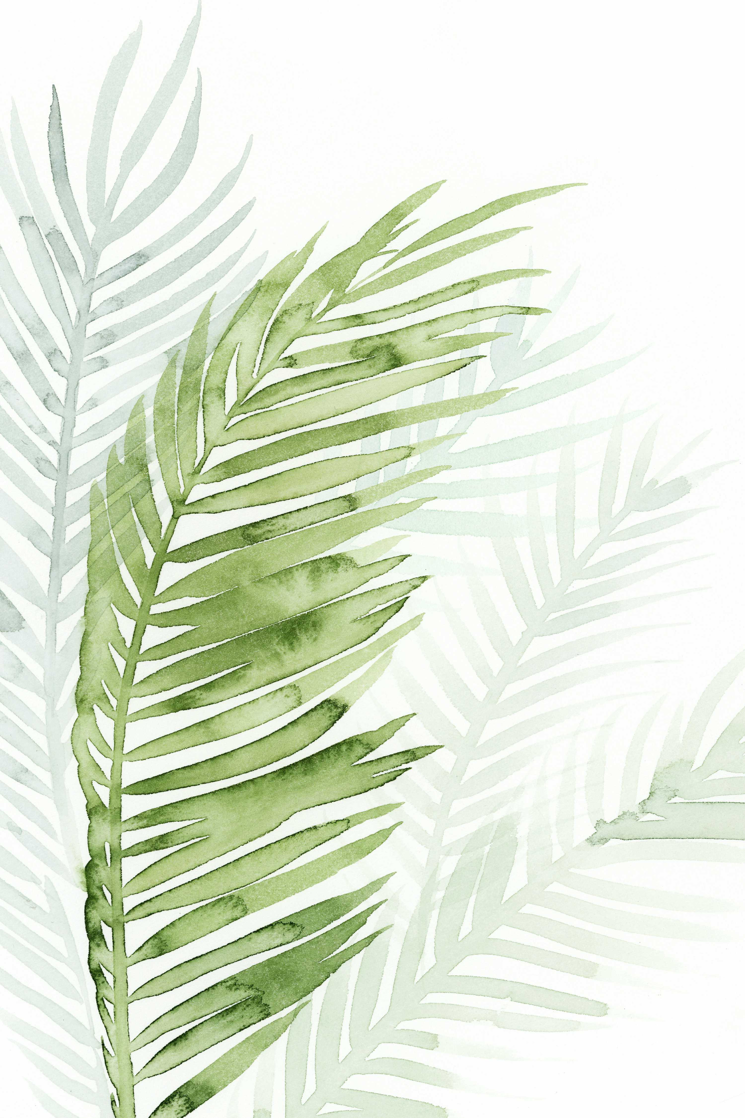 Bayou Breeze Faint Palms II - Wayfair Canada