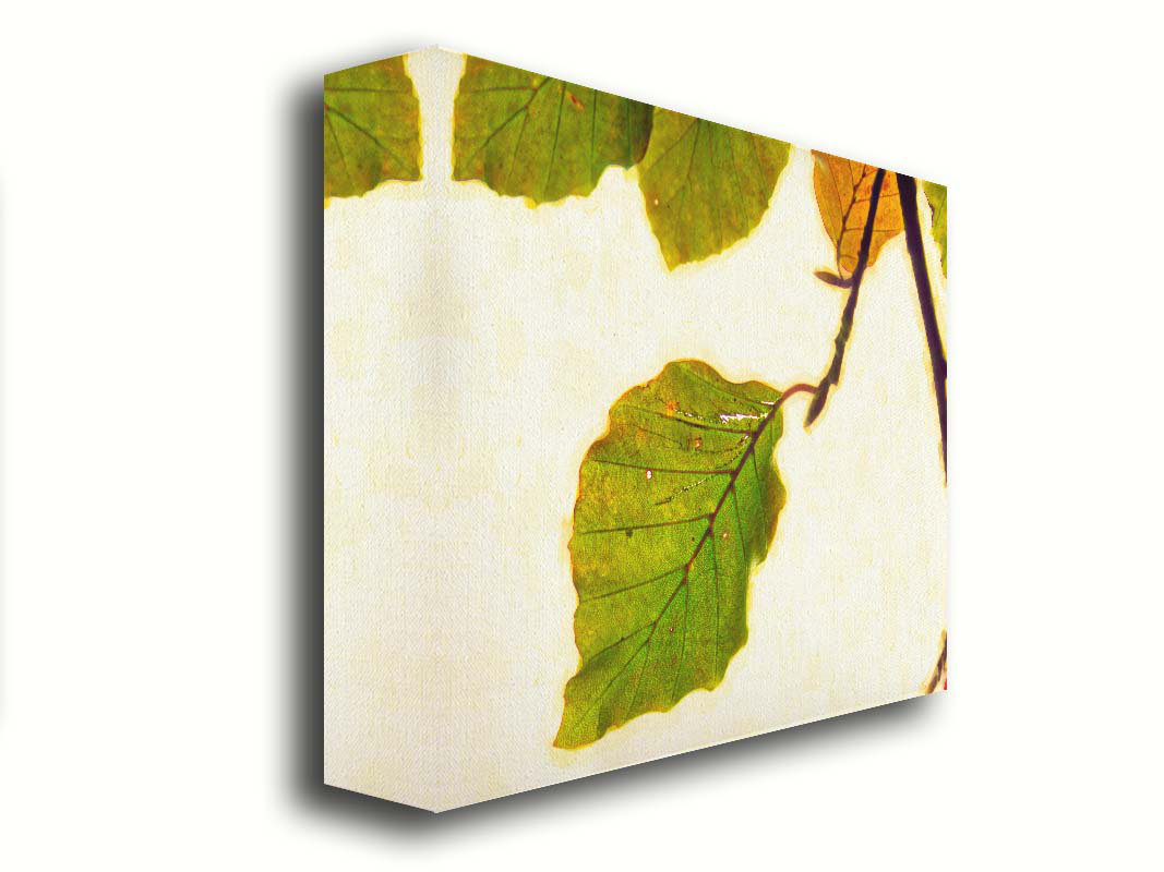 Foundry Select Autumn Etching IV by Hal Halli. Giclee Gallery | Wayfair