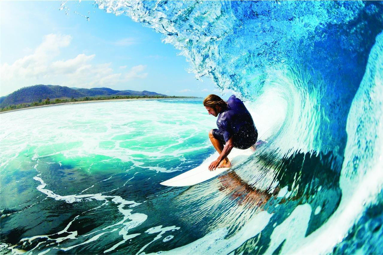 Design With Vinyl Surfing Wave Wall Decal | Wayfair