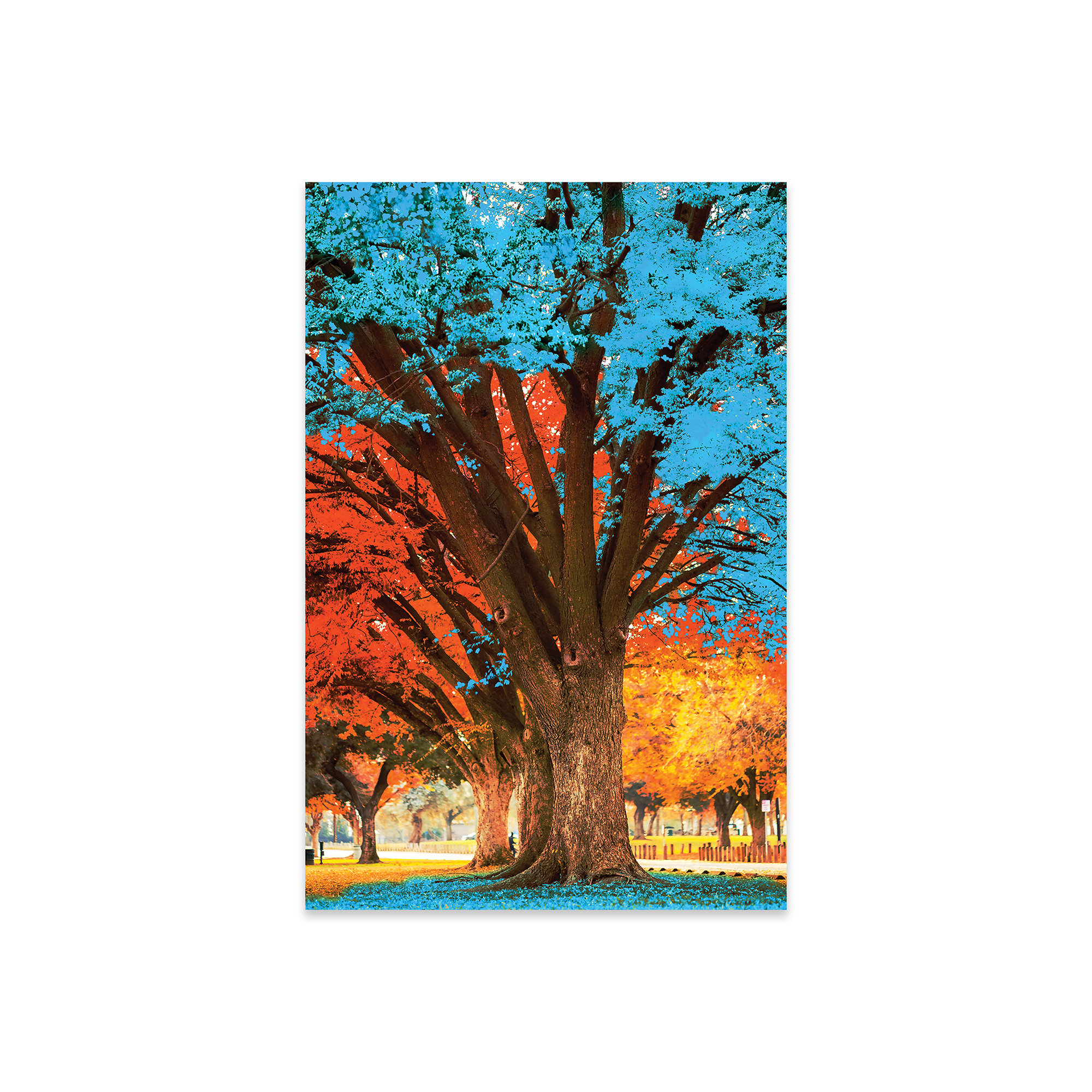 Millwood Pines Blue Tree Print On Acrylic Glass - Wayfair Canada