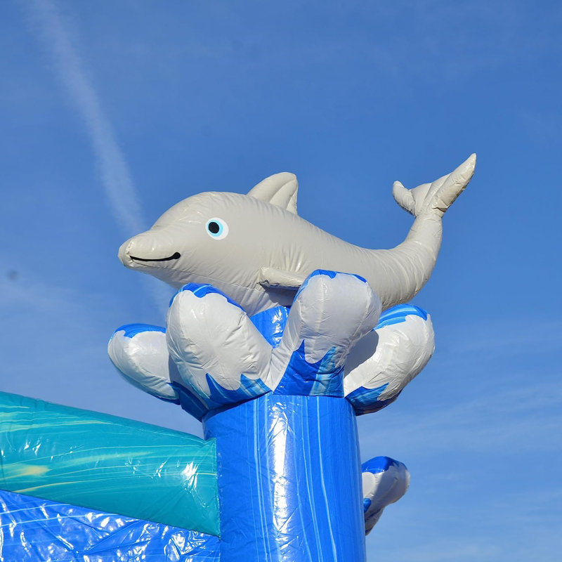 JumpOrange Dolphins Commercial Grade Bounce House Water Slide with ...
