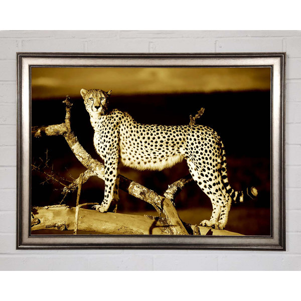 Brayden Studio Leopard Perch Sepia - Single Picture Frame Art Prints ...