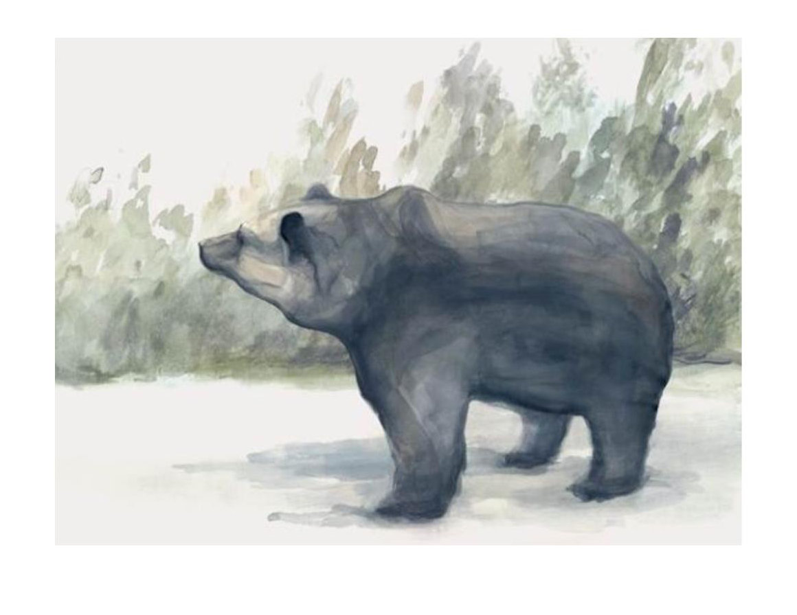 Chelsea Art Studio D’Alessandro Léon " Black Bear Forest II " by D ...