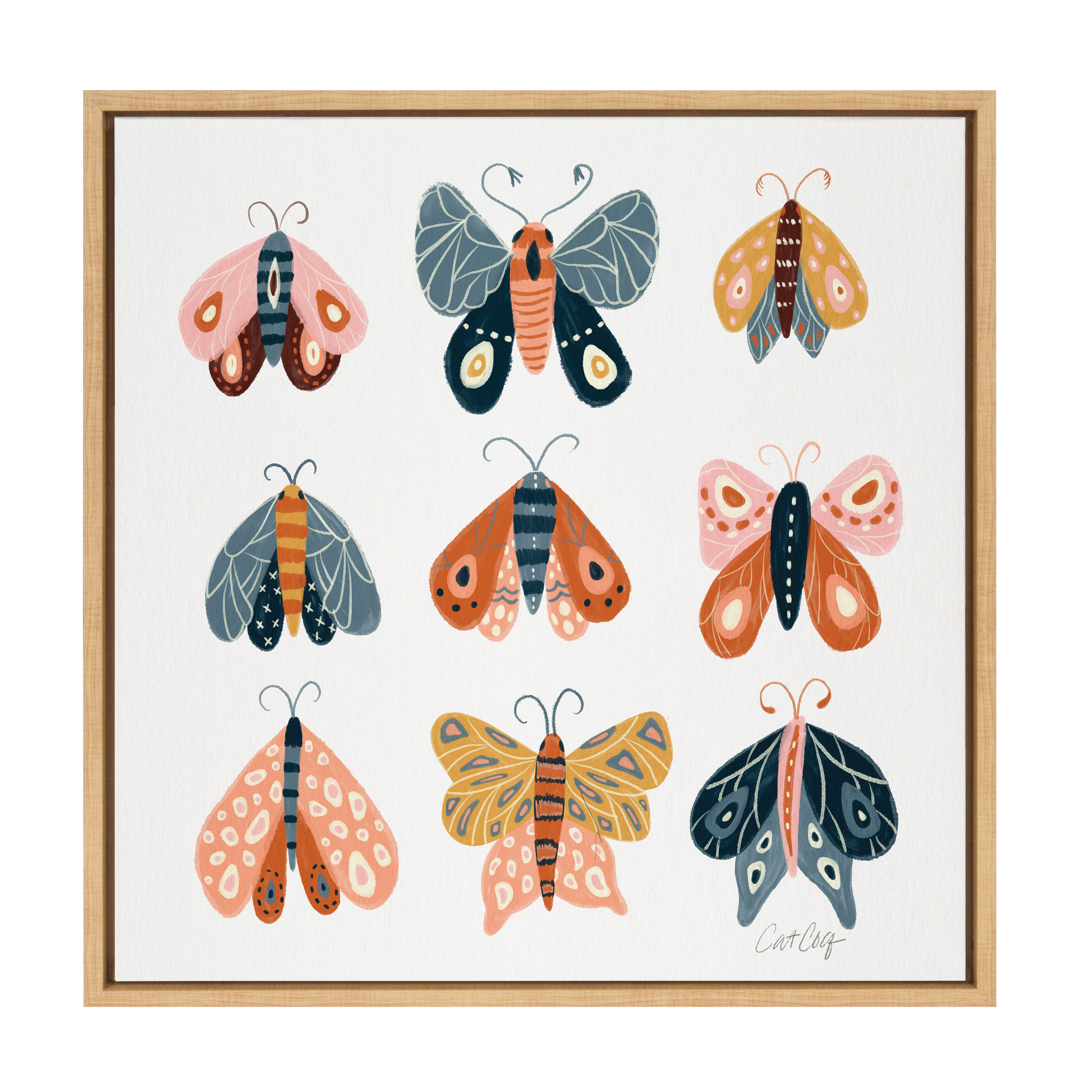 Beachcrest Home Shalyce " Yellow Moth Specimens " by Cat Coquillette ...
