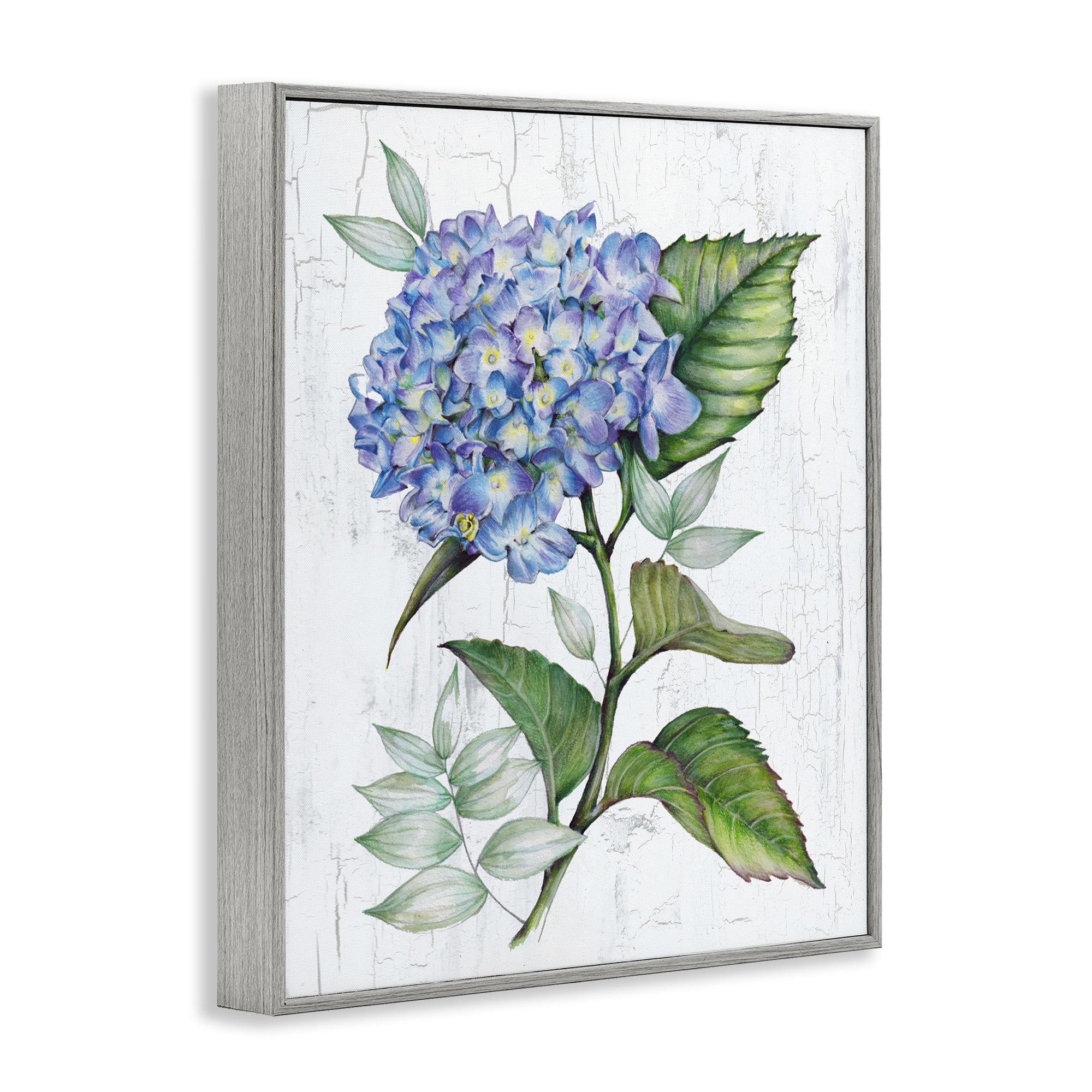 Winston Porter English Manor Hydrangea Framed Giclee Art by Levison ...