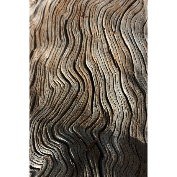 Union Rustic Tree Background by SafakOguz - Wrapped Canvas Print ...