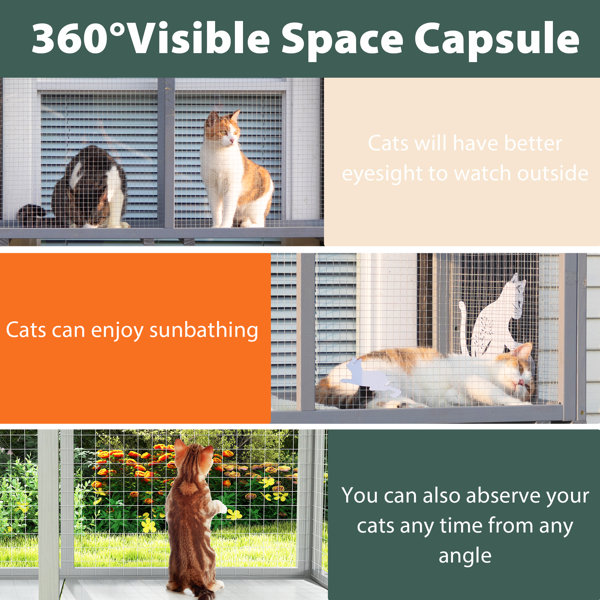 Tucker Murphy Pet™ Wooden Cat Catio, Weatherproof Outdoor Cat Enclosure ...