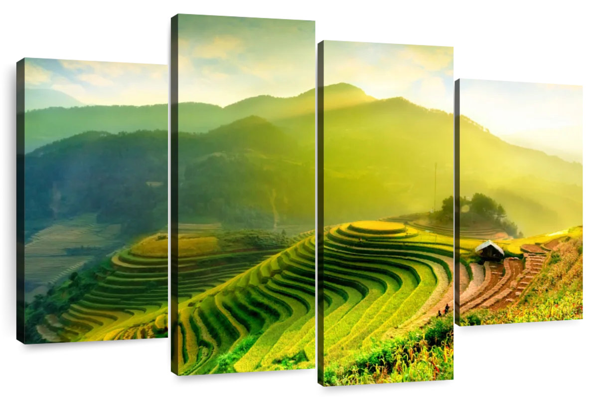 Millwood Pines Alvord Sunlit Rice Terraces Fields | Wayfair