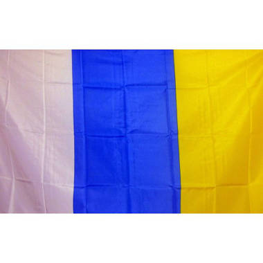 NeoPlex Reme Double Sided 36'' H x 60'' W Polyester State House Flag ...