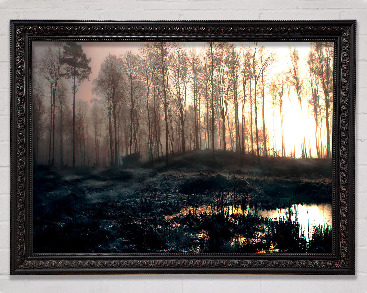 Bright Star Early Morning Swamp - Single Picture Frame Art Prints ...
