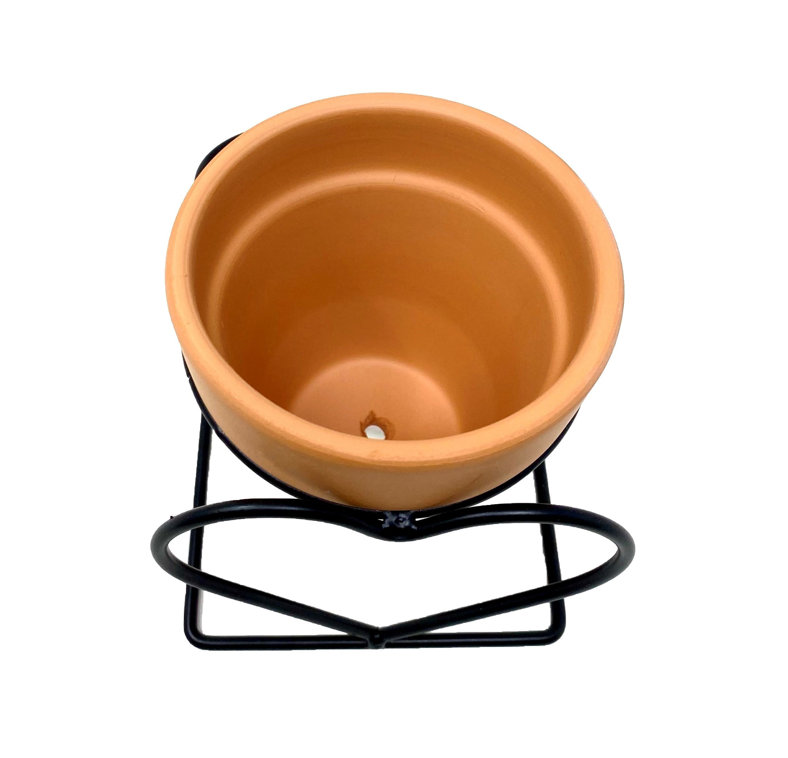 Dakota Fields Succulent Cactus Tribal-Print Terracotta Planter Pot With ...