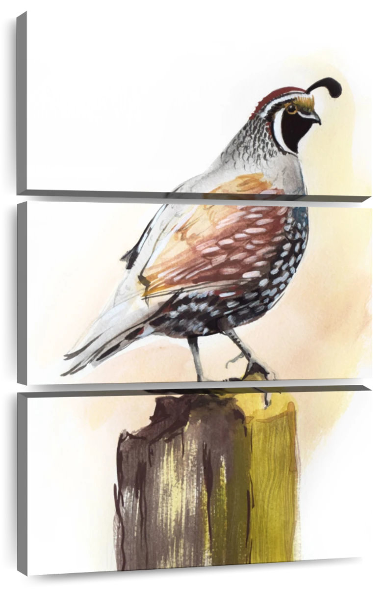 Ebern Designs Brampt Quail | Wayfair