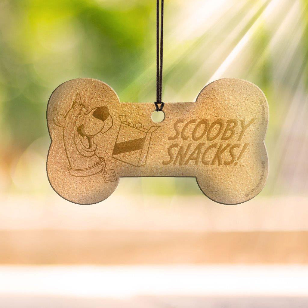 Trend Setters Scooby Doo Scooby Snacks Dog Treat Hanging Acrylic Shaped ...