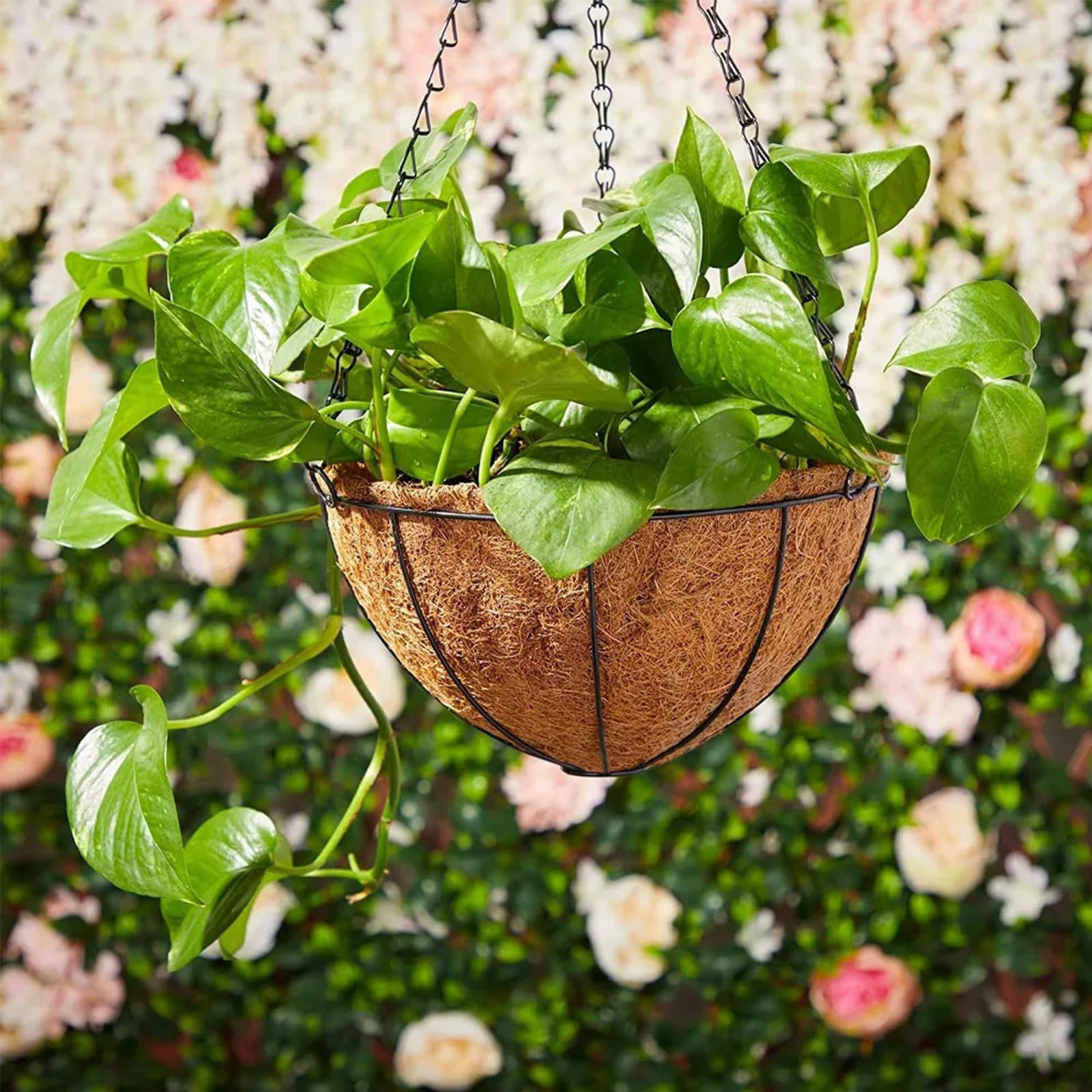 Arlmont & Co. Tabinda Planter | Wayfair
