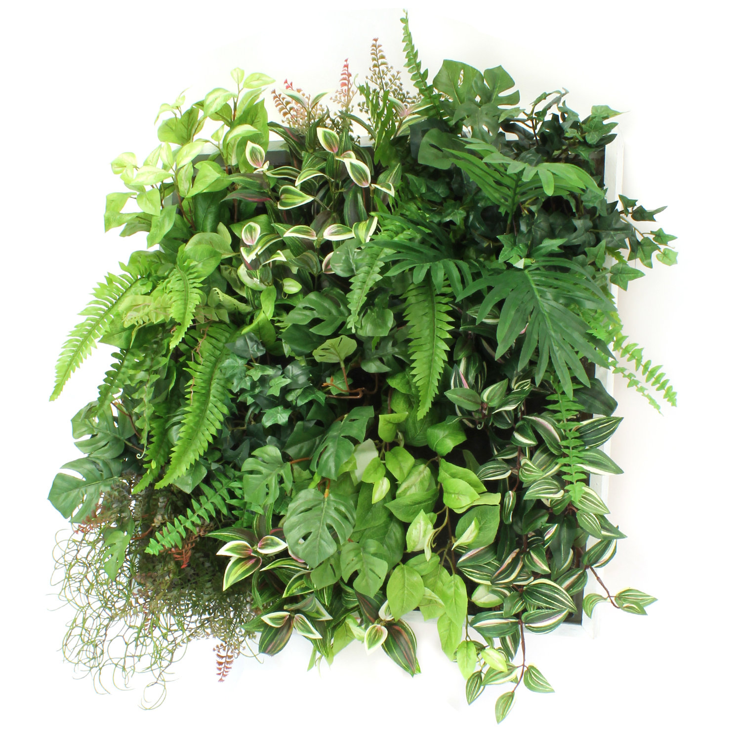Dalmarko Designs Faux Wall Piece Foliage Plant - Wayfair Canada