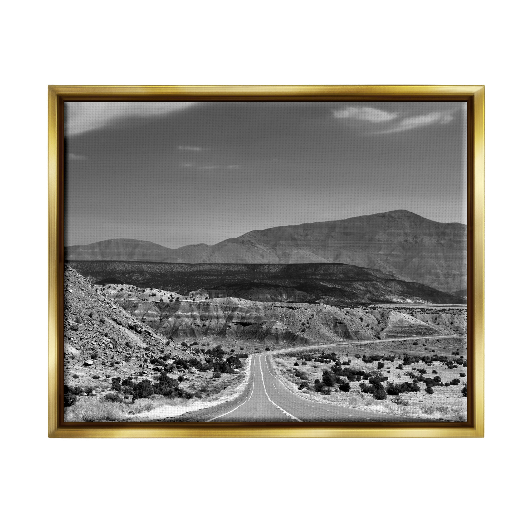 Millwood Pines Desert Canyon Road by Steve Toole | Wayfair