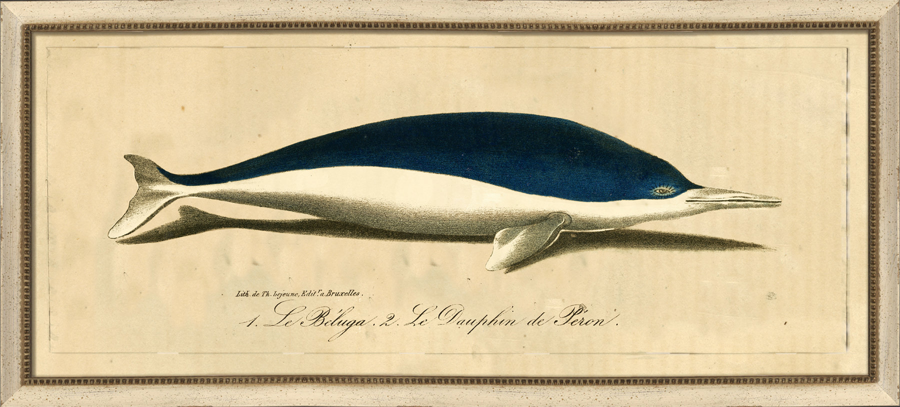 Wendover Art Group Vintage Dolphin II - Picture Frame Painting on Paper ...